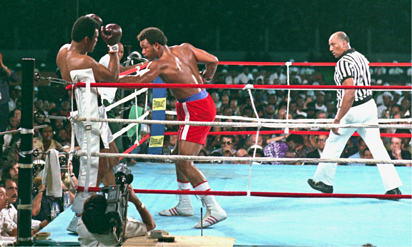 Alphabiotic rope - The New England Alphabiotics